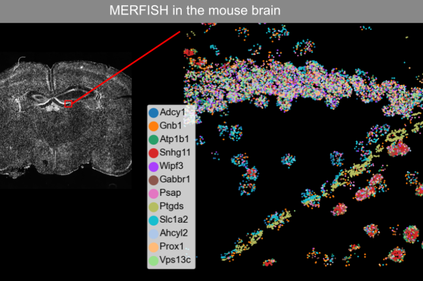 Photonics Frontiers 2024 | Electro Optics